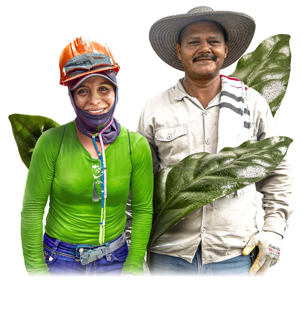 Un mensaje para el campo – NitroFert